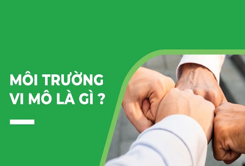 Môi trường vi mô là gì? Các yếu tố chính của môi trường vi mô
